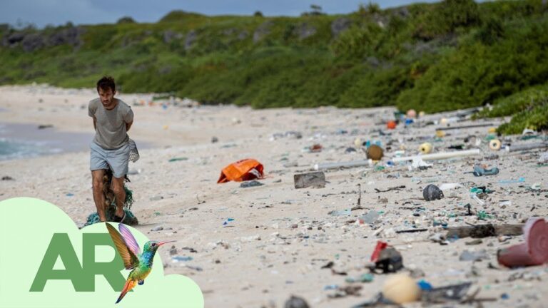 Descubre la belleza de Isla Ducie | Actualizado octubre 2025