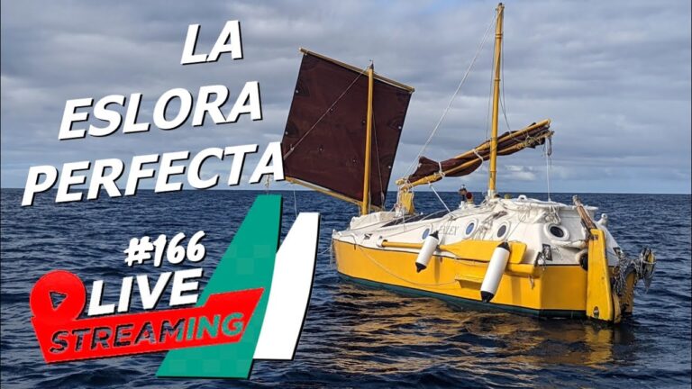 Guía para comprar barcos de 8 metros de eslora | Actualizado enero 2026